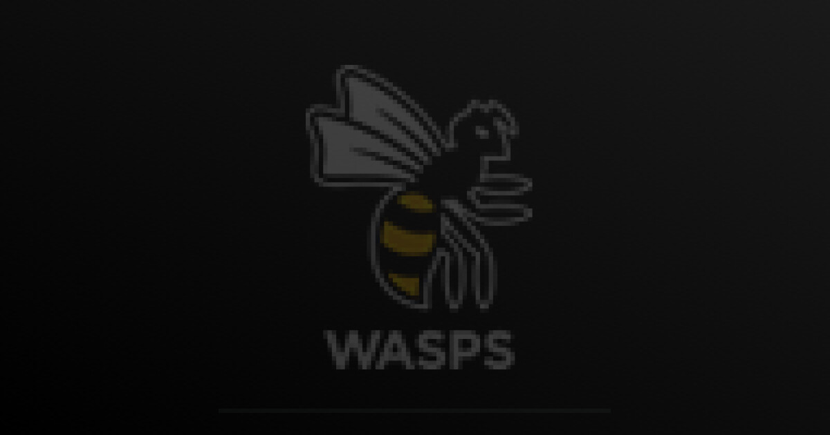 Wasps 1st team secures promotion