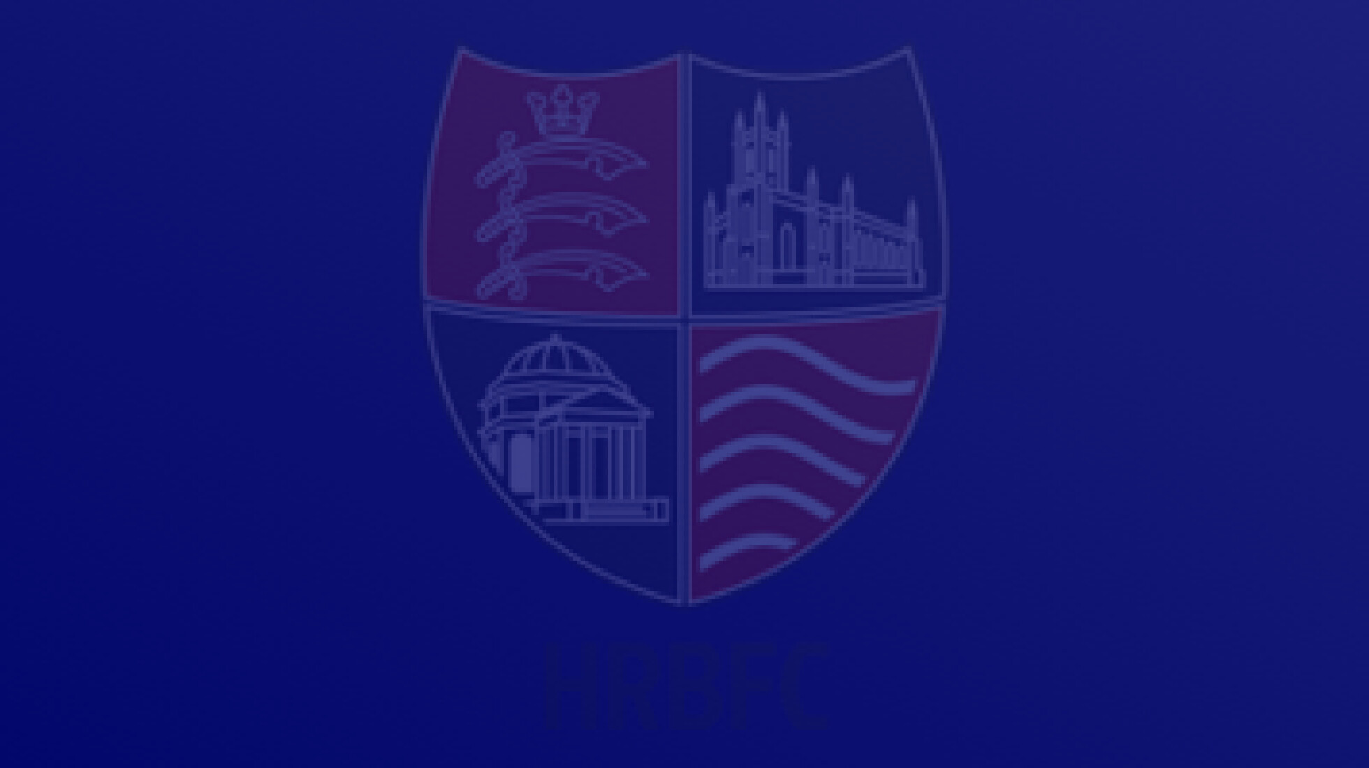 Hampton and Richmond Borough FC open day 19th November