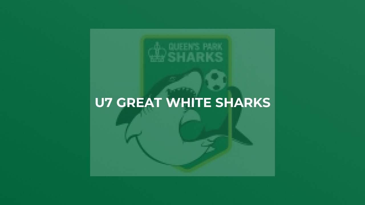 Queen's Park Sharks U7 GREAT WHITE SHARKS
