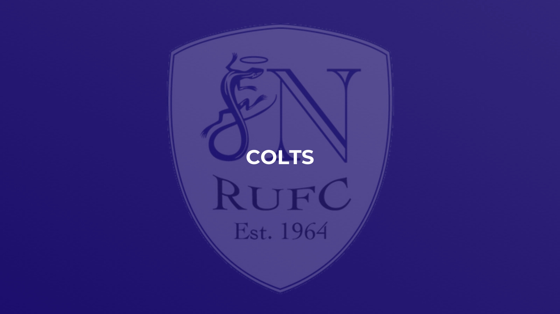 Match Report: St Neots Rugby Club 5 - 33 stockwood park : Colts