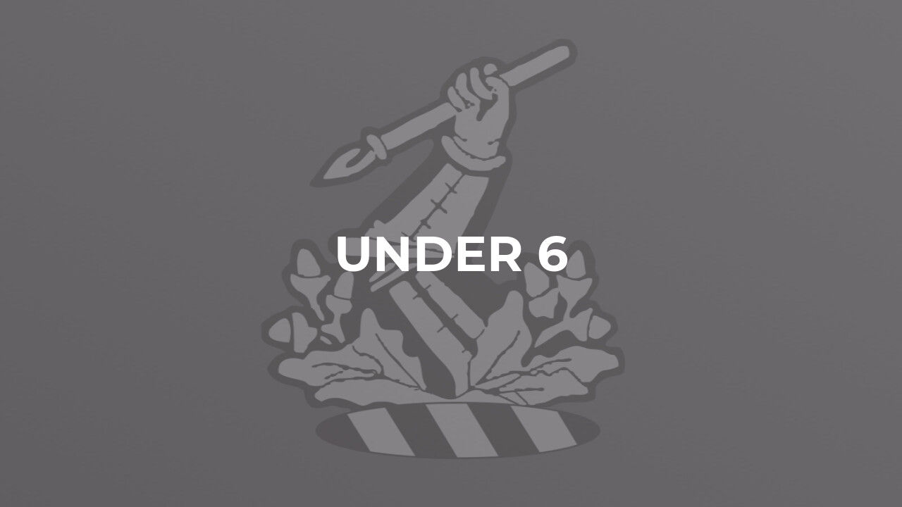 Huel Tring Rugby Under 6