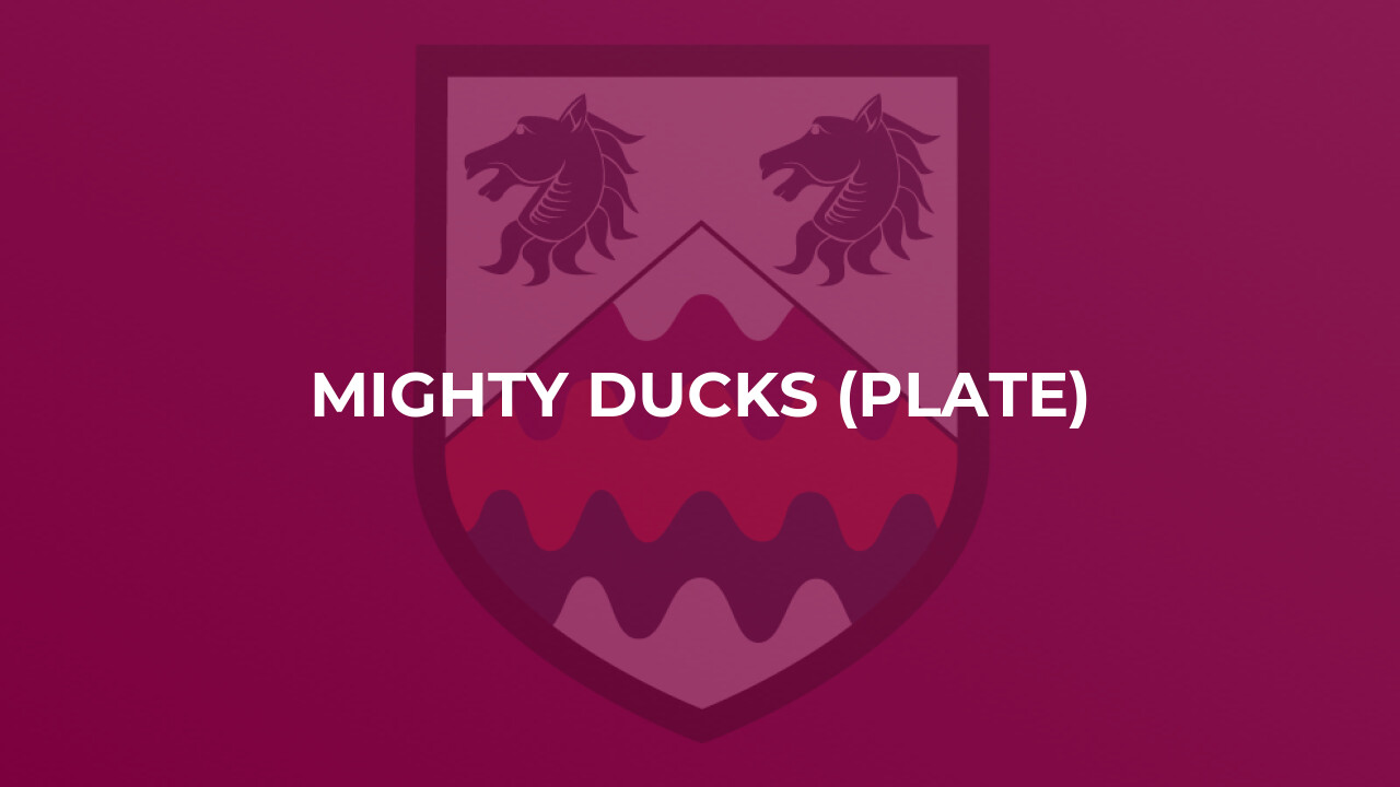 Epsom Cricket Club Mighty Ducks (Plate)
