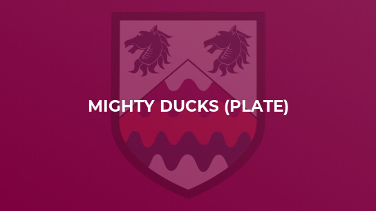 Epsom Cricket Club Mighty Ducks (Plate)
