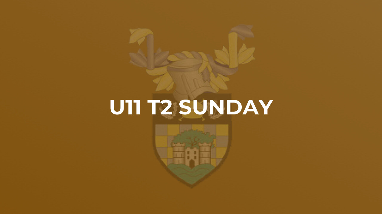 Reigate Priory Cricket Club teams