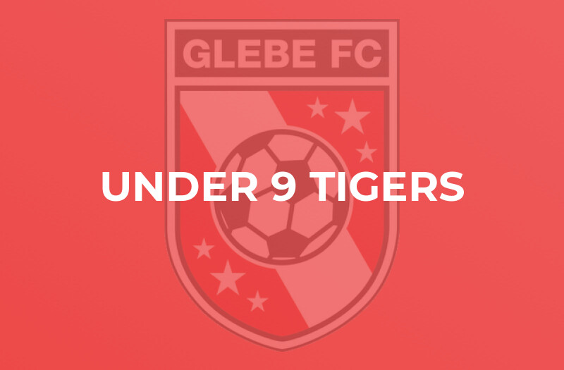 Teams - Glebe Football Club